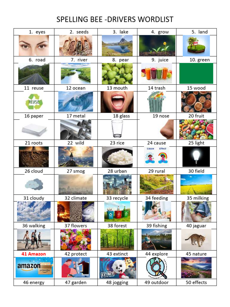 Spelling Bee - Drivers Wordlist | PDF
