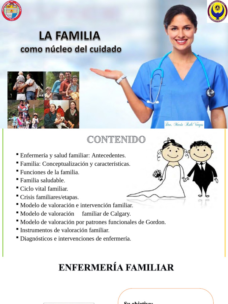 Salud Familiar Y Enfermería Pdf Familia Enfermería