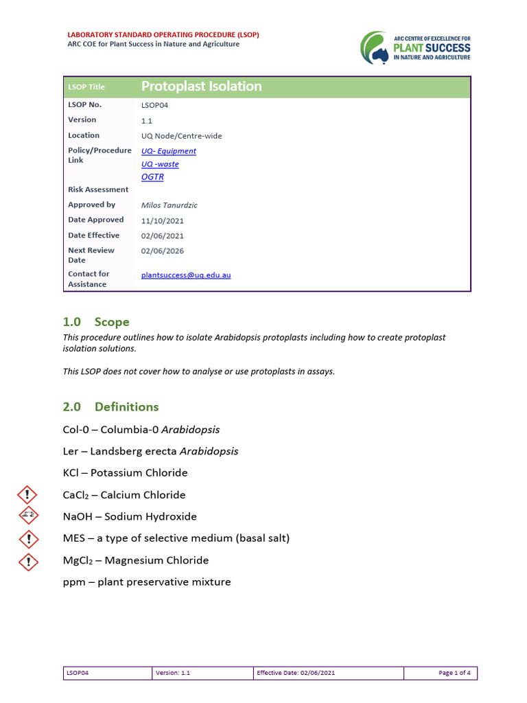LSOP04-Arabidopsis-Protoplast-Isolation | PDF | Leaf | Potassium Chloride