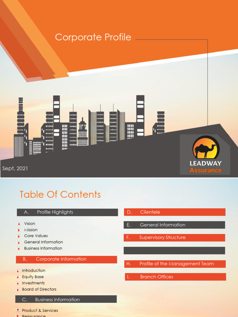 Leadway Assurance Overview | PDF | Insurance | Reinsurance