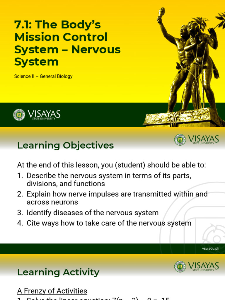 7.1. the Nervous System | PDF | Axon | Neuron