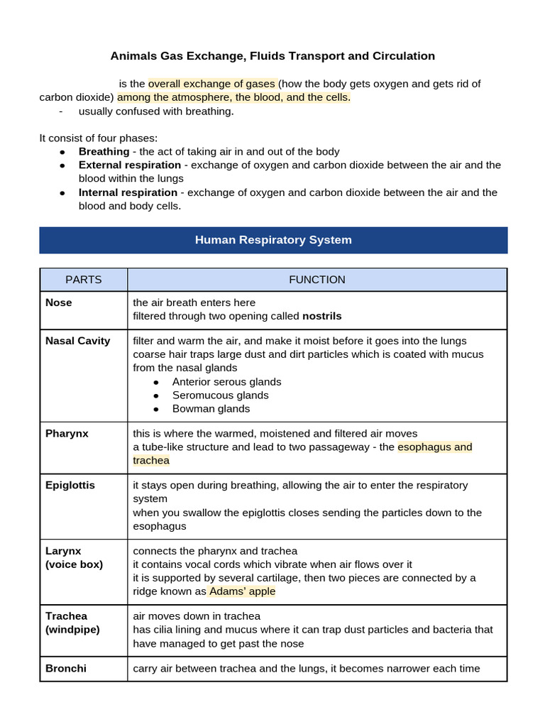 Animal Gas Exchange and Circulatory Systems | PDF | Blood | Atrium (Heart)