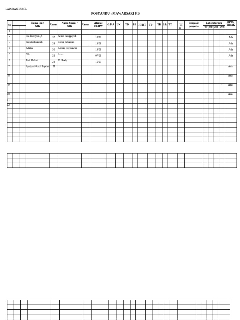 Format Kunjungan Harian Ibu Hamil | PDF