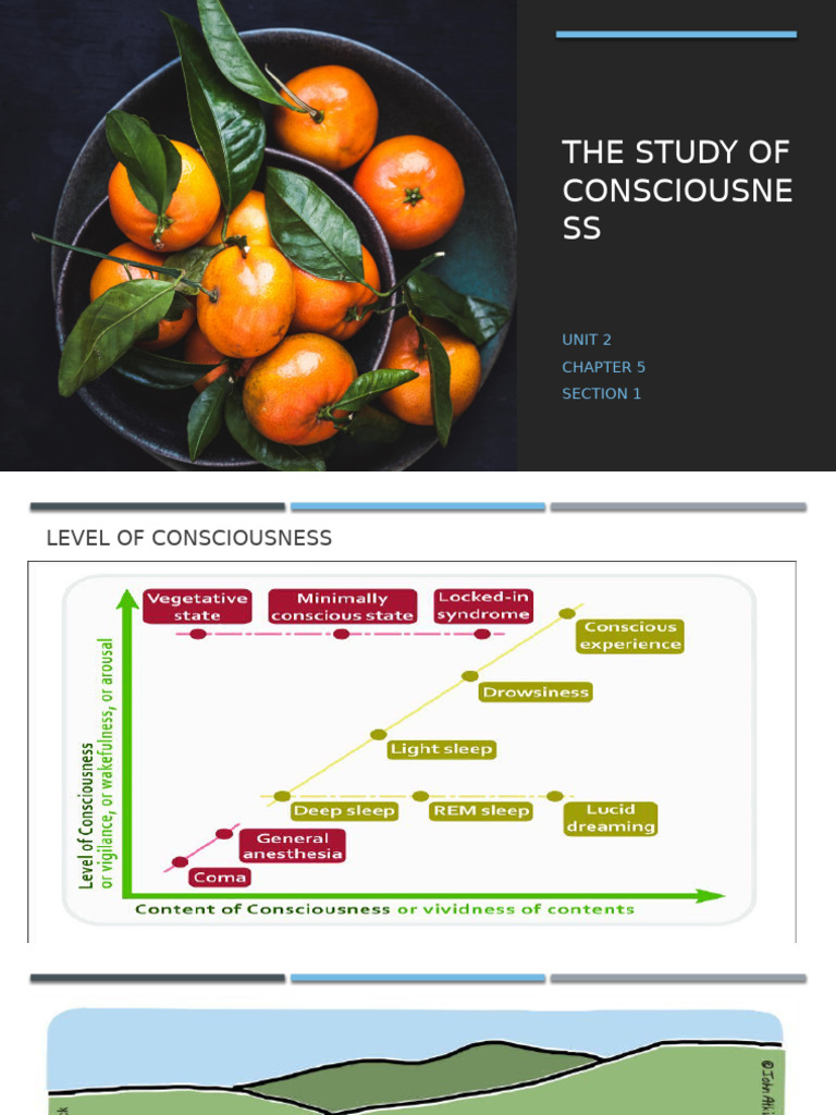 Levels of Consciousness Explained | PDF
