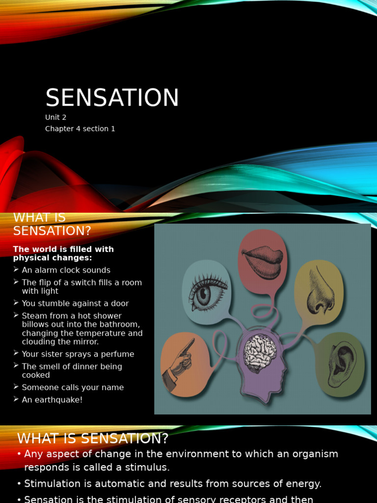 Q2 PPT 5 Psychology Sensation | PDF | Senses | Perception