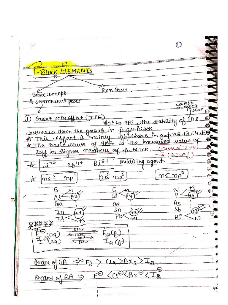 KMD P Block Notes English | PDF
