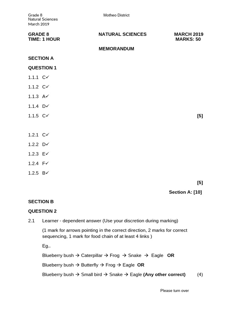 Grade 8 Natural Sciences Exam March 2019 | PDF | Leaf | Foods