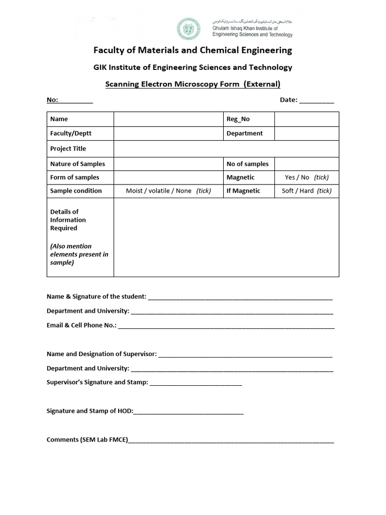 SEM Form External | PDF