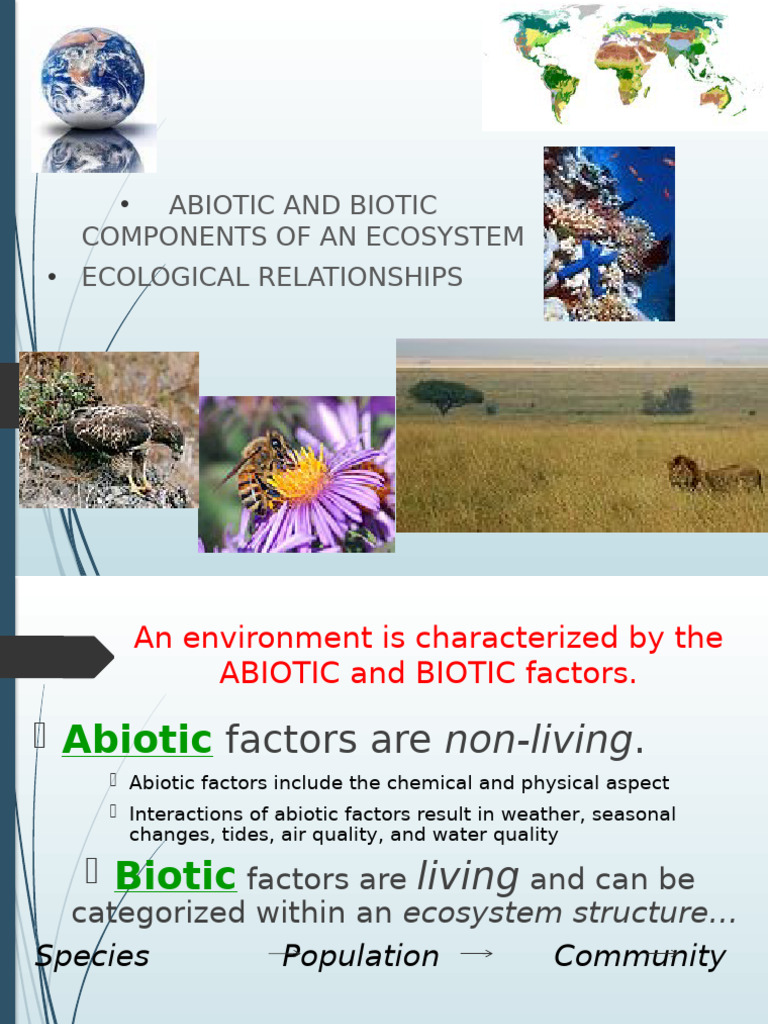 Abiotic and Biotic Components | PDF | Food Web | Ecosystem