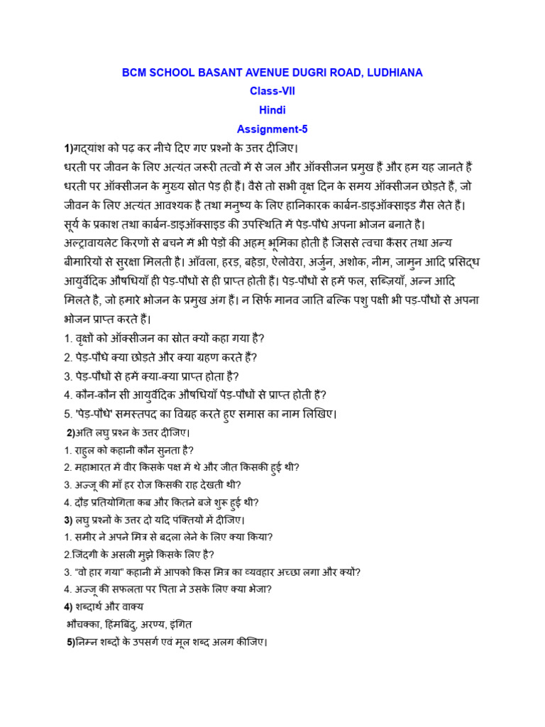 Hindi Assignment | PDF