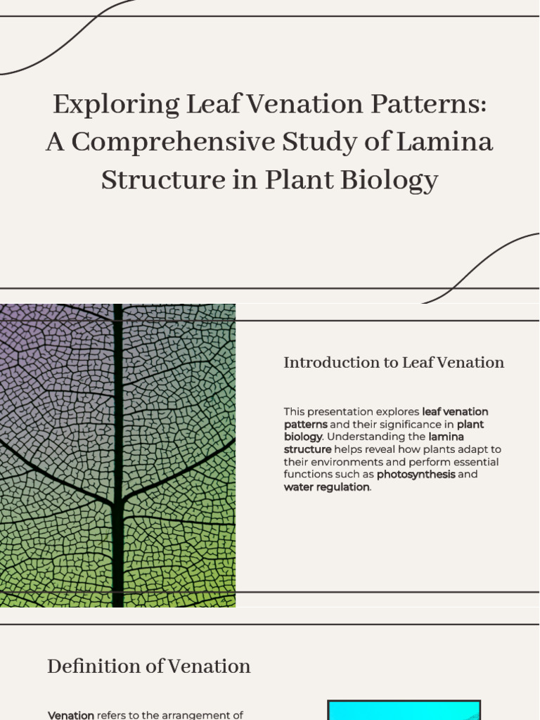 slidesgo-exploring-leaf-venation-patterns-a-comprehensive-study-of ... slidesgo-exploring-leaf-venation-patterns-a-comprehensive-study-of ...