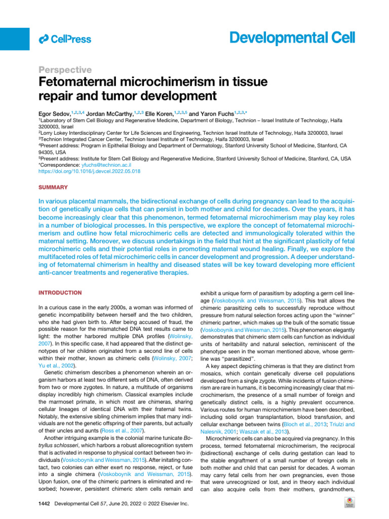 Microquimerismo e Doencas | PDF | Cardiac Muscle | Wound Healing