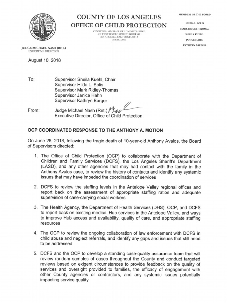 125964 | PDF | Child Protective Services | Child Neglect