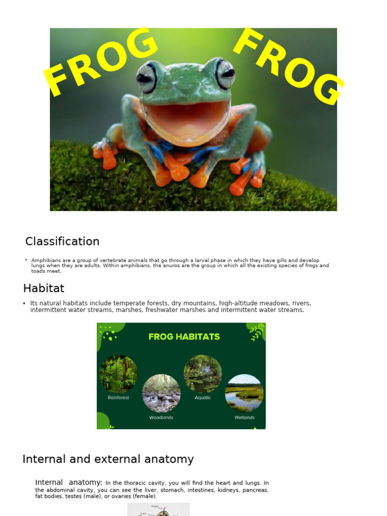 Frog | PDF | Frog | Human Body