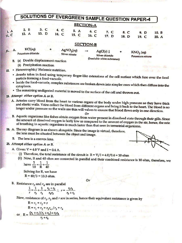 Sample Paper 4 | PDF