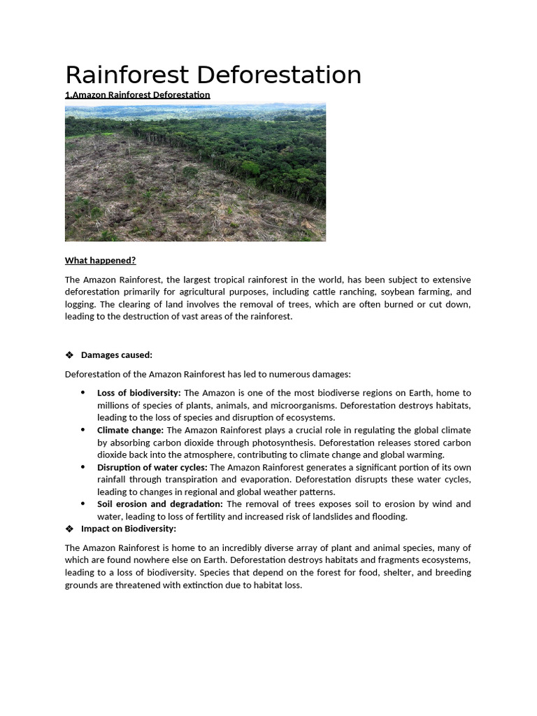 Impact of human activities - amazon rainforest deforestation | PDF