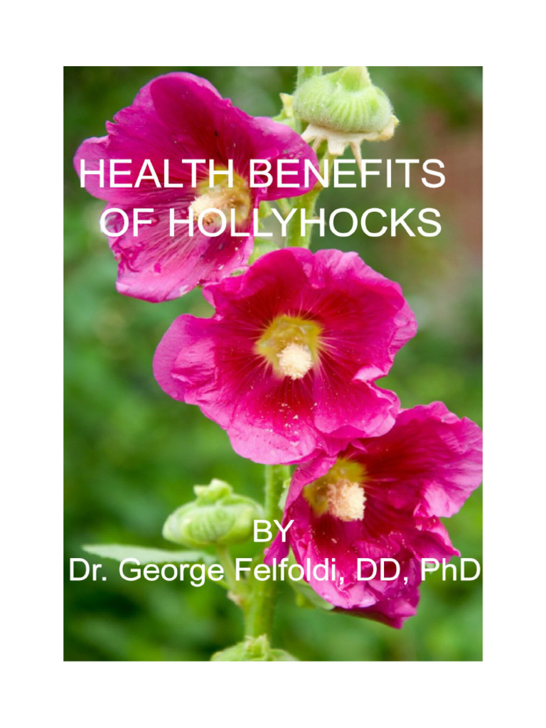 2025 - George Felfoldi (eBook-Health) - Health Benefits of Hollyhocks ...