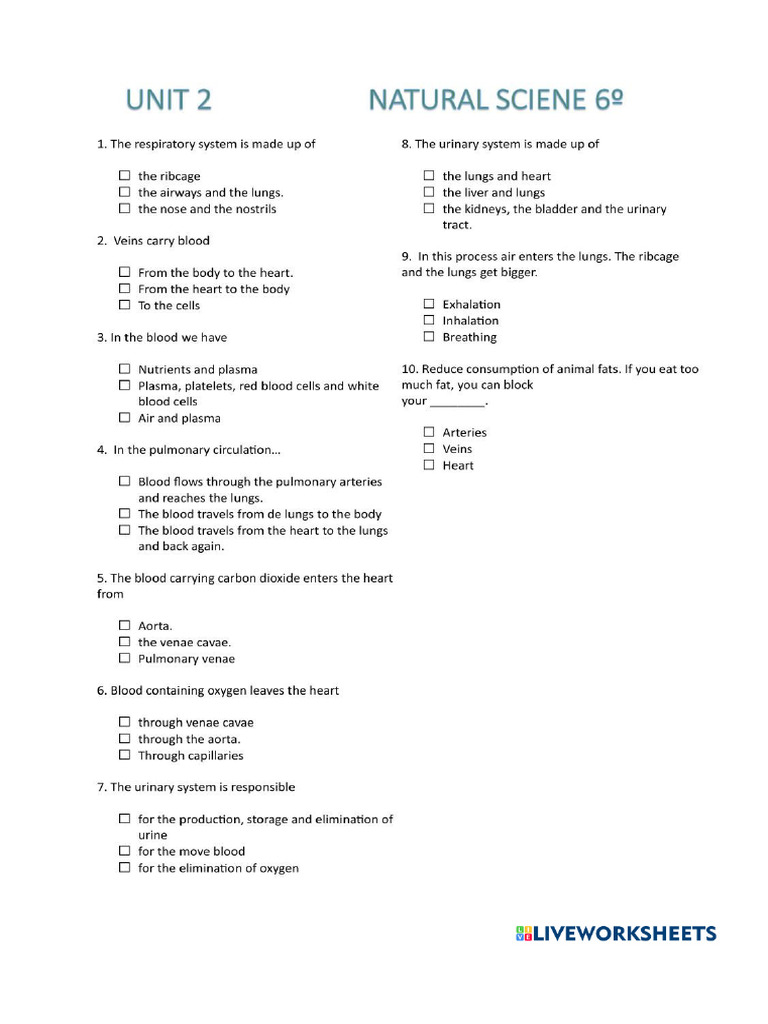 Worksheet - 7331115 Science | PDF