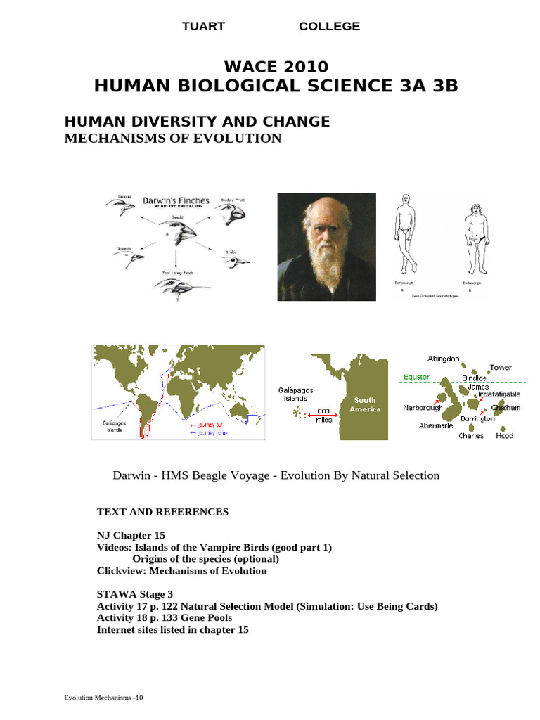 Evolution Mechanisms | PDF | Natural Selection | Evolution
