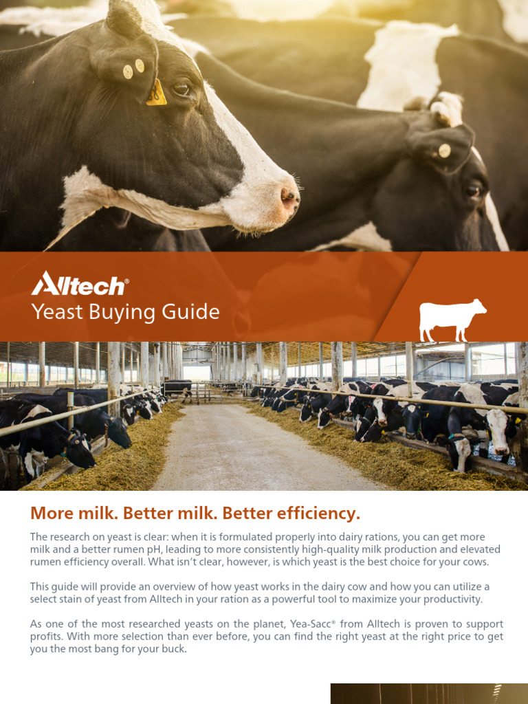 Dairy Yeast Buying Guide | PDF | Dairy Cattle | Food Industry
