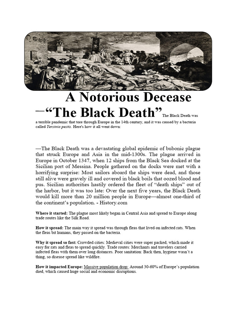 Fines-STS ASSIGNMENT | PDF