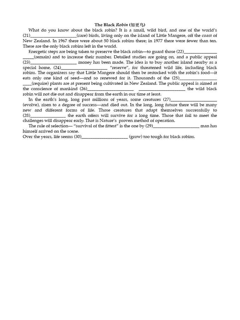 The Black Robin (知更鸟) | PDF