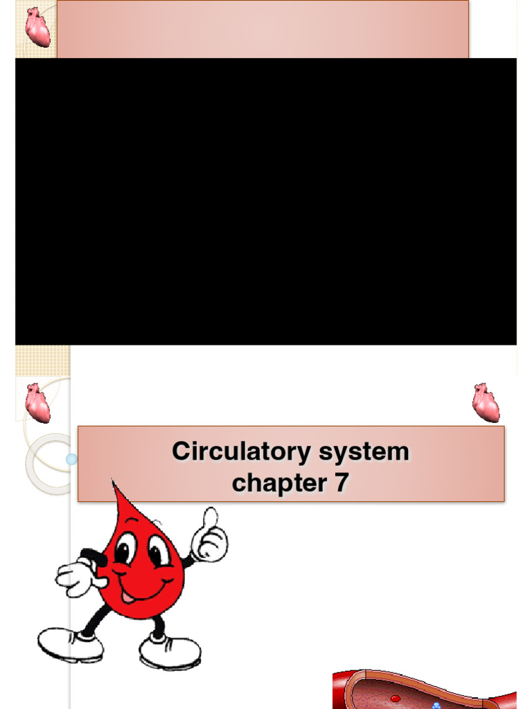 Circulation Pdf Heart Valve Circulatory System