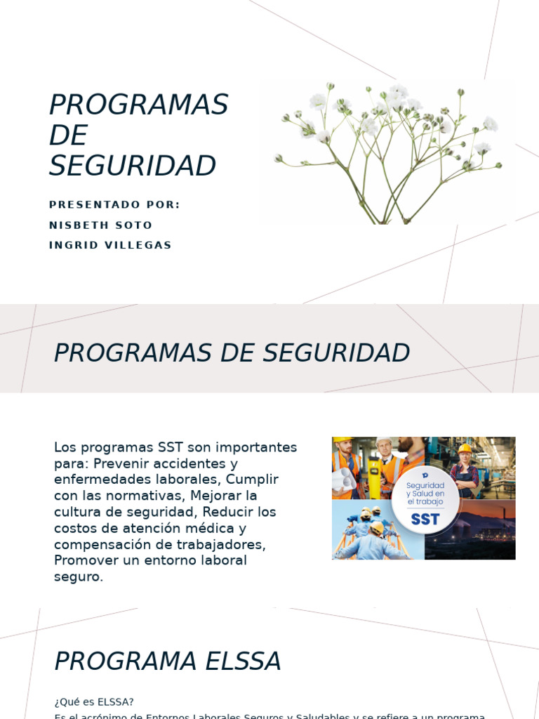 Programas de Seguridad y Salud Laboral | PDF | Valores | Defensa Civil