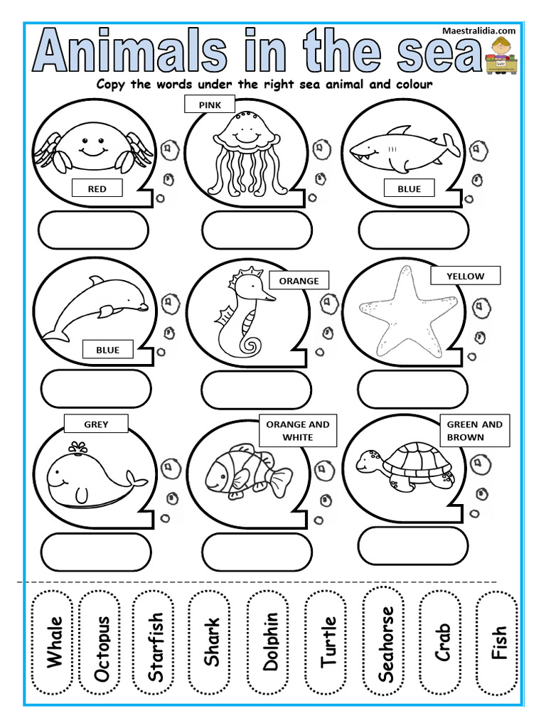 Sea Animal Coloring Activity | PDF