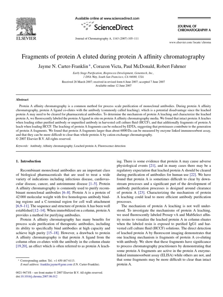 Protein A Leaching in Affinity Chromatography | PDF | Protein ...