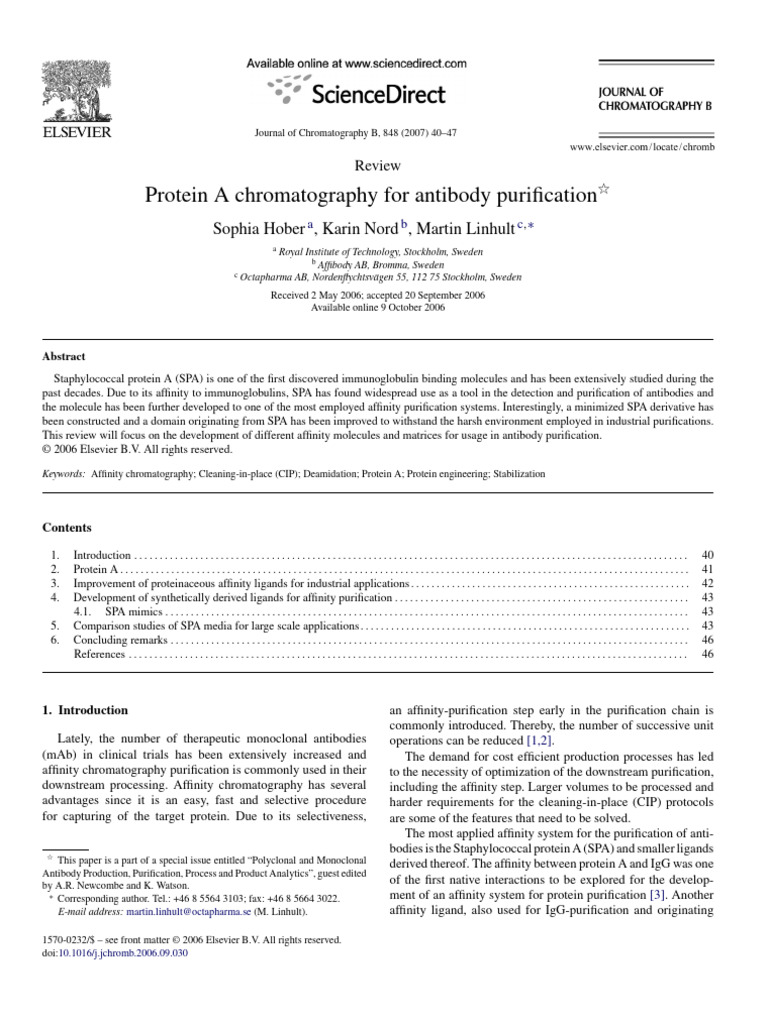 Protein A Chromatography For Antibody Purification | PDF ...