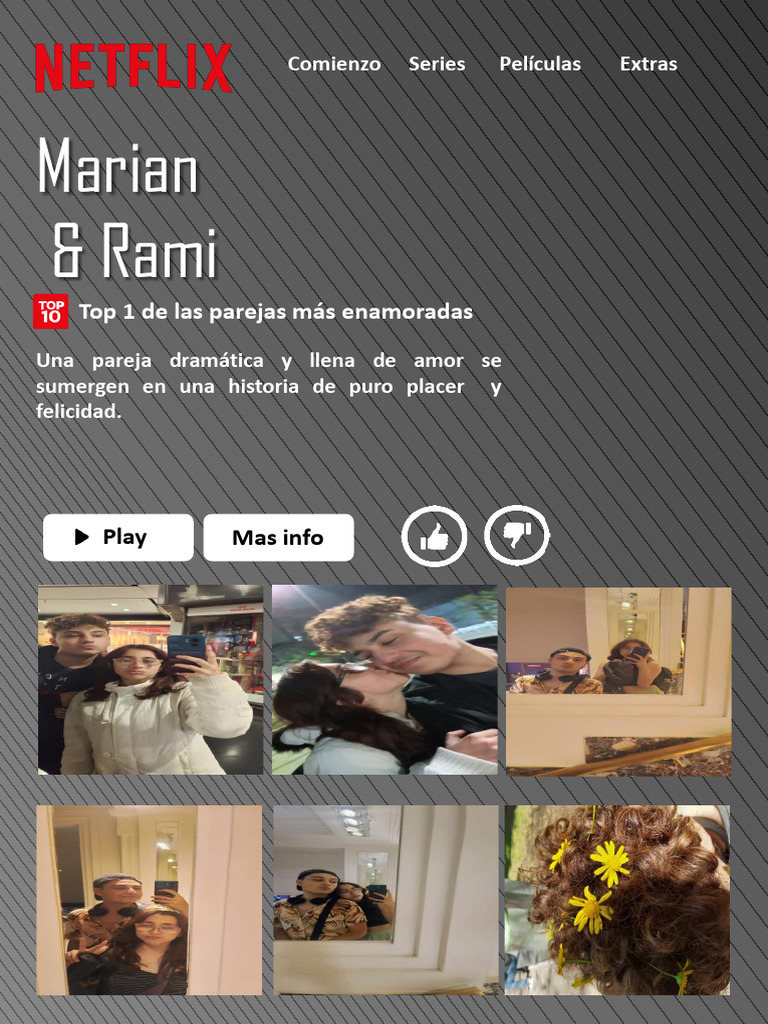 Cuadro Netflix | PDF