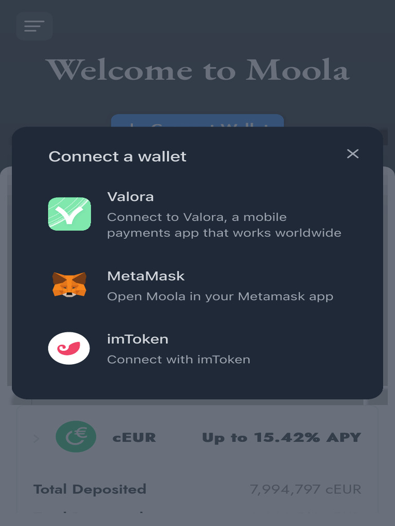 Moola Market | PDF