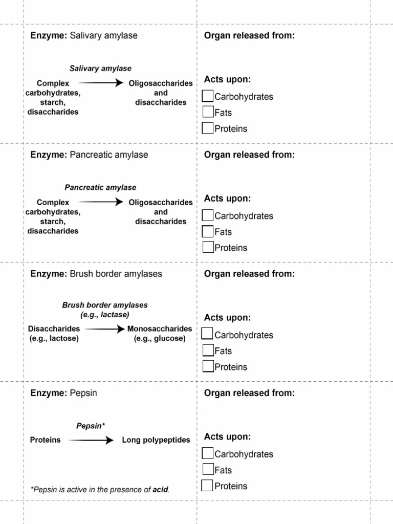 Enzyme - Cards-Fillable Respostes | PDF | Carbohydrates | Enzyme