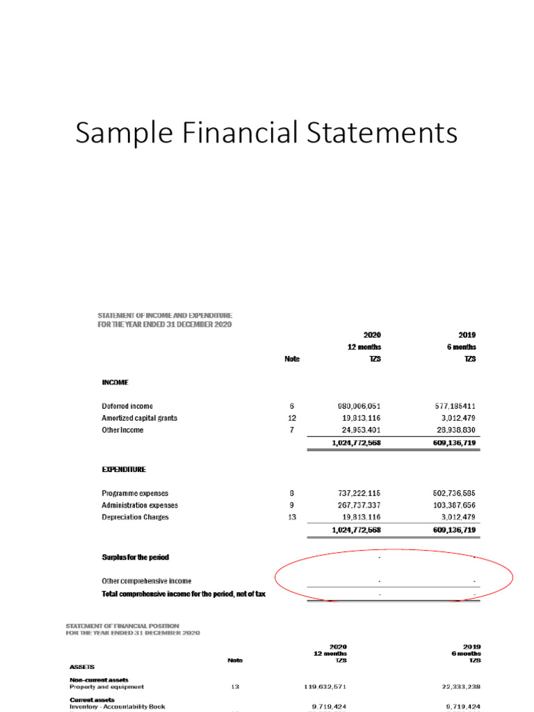 Sample Financial Statements | PDF | Revenue | Income