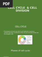 CBSE Class 11 Biology: Cell Cycle | PDF | Meiosis | Mitosis