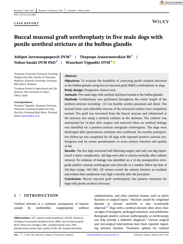 Buccal Mucosal Graft Urethroplasty in Five Male Dogs With Penile ...