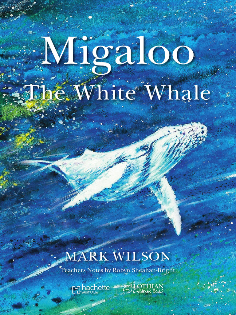 Migaloo Teacher's Notes Overview | PDF | Cetaceans