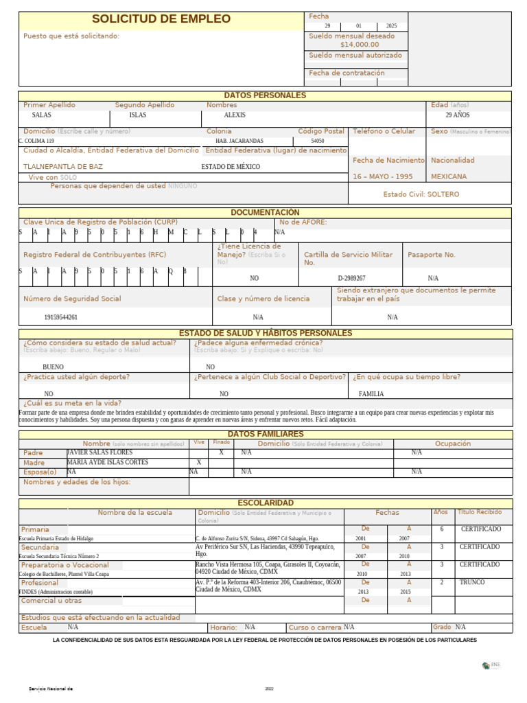 Sne Solicitud de Empleo Plantilla PDF | PDF