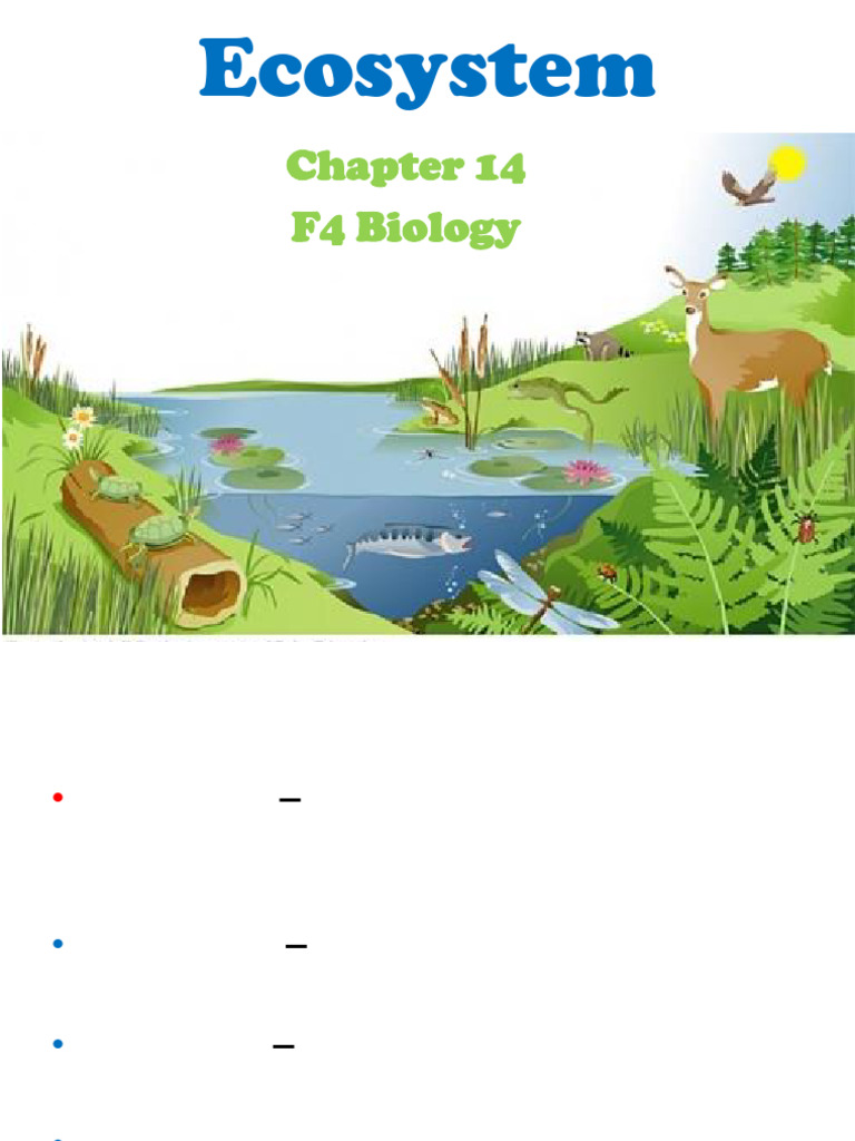 14 Ecosystems | PDF | Nitrate | Decomposition