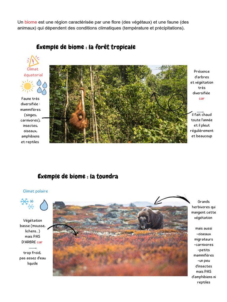 Types de biomes terrestres expliqués | PDF | Climat | Géographie physique
