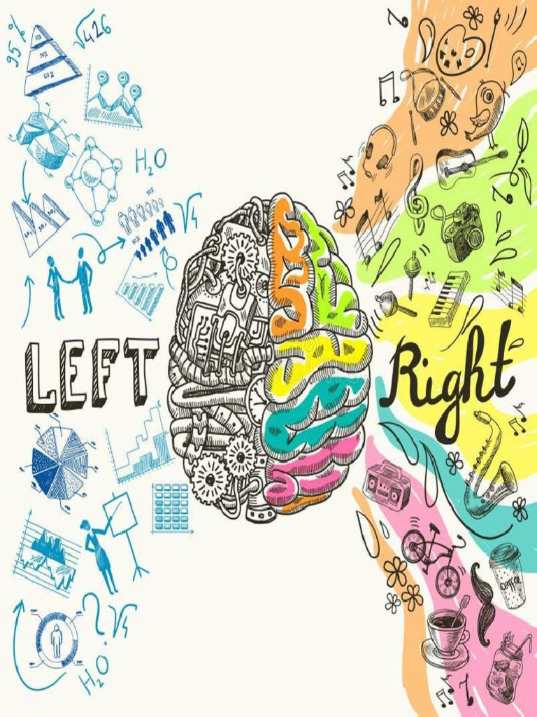 Brain Function | PDF