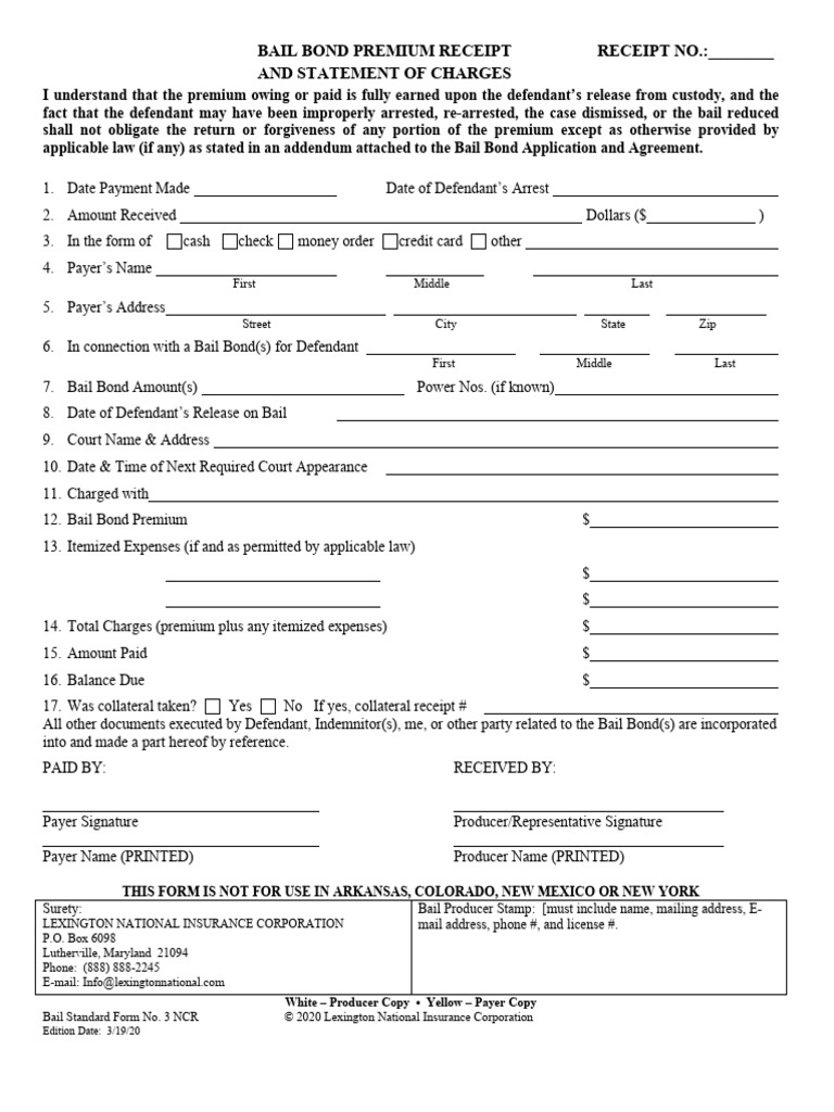 Bail Standard Form No-3 NCR | PDF | Bail
