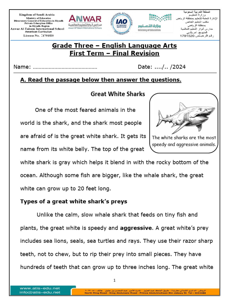 English Final Revision G3 | PDF | Bees | Honey