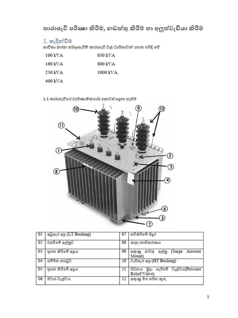 Transformer Maintenance Guide Sinhala | PDF