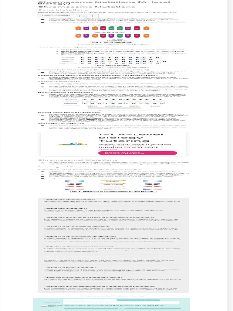 Chromosome Mutations (A-Level Biology) - Study Mind | PDF | Mutation ...