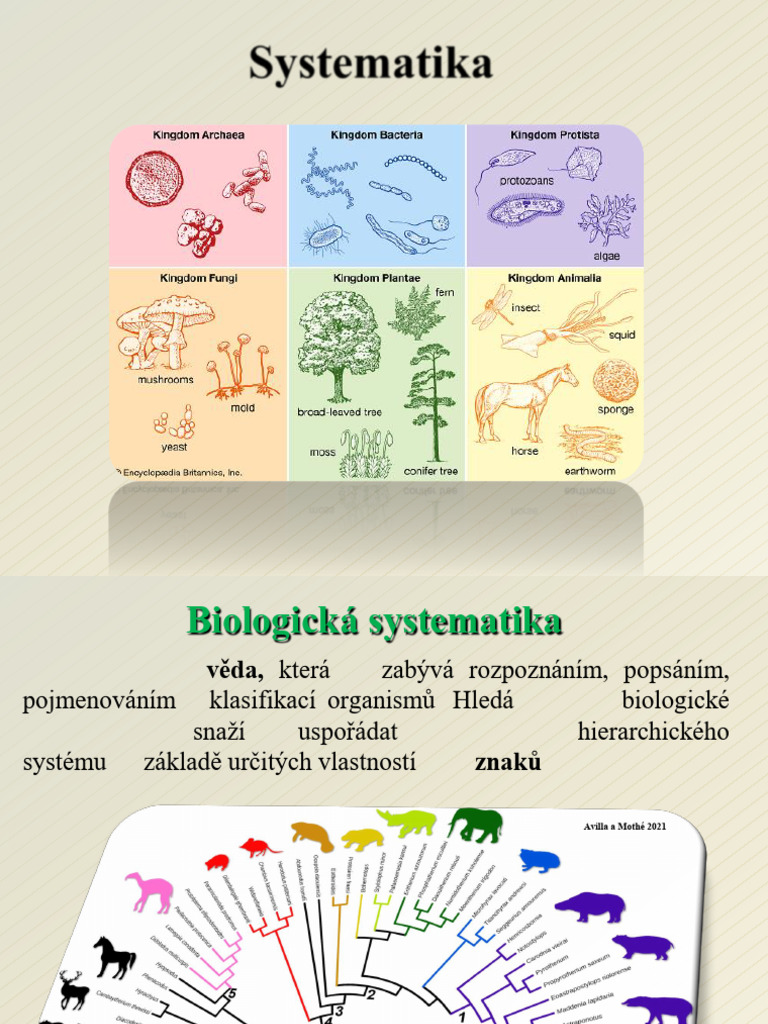 Systematika 2024 | PDF