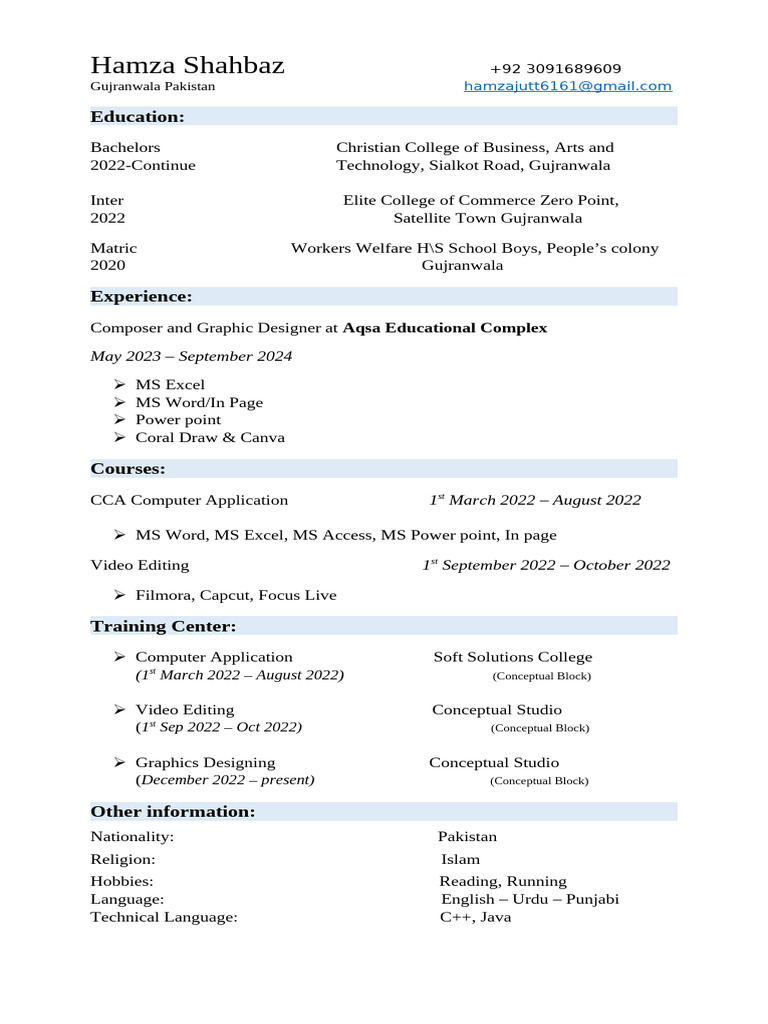 Hamza CV Final | PDF