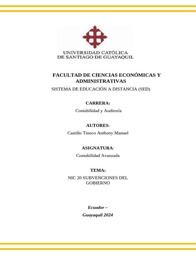 NIC 20: Subvenciones del Gobierno en Contabilidad | PDF | Otorgar ...