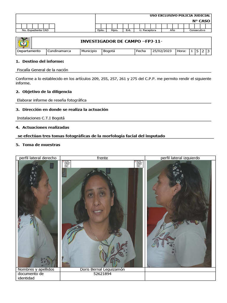 FPJ-11 Infor Investigador Campo PDF | PDF